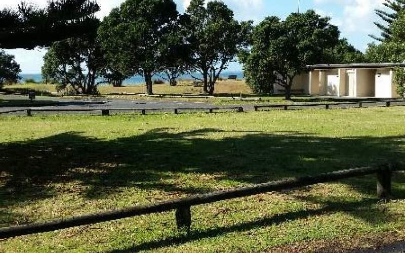 Long Bay Regional Park | Freedom/Basic Camp | New Zealand